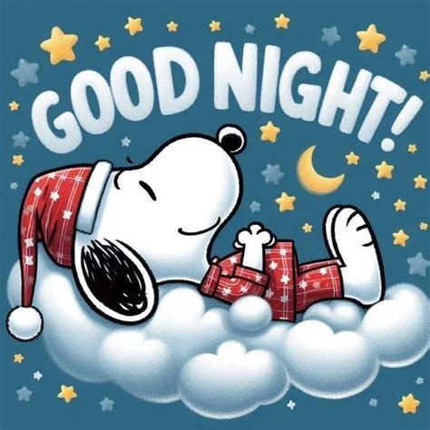 Good Night Snoopy Bear