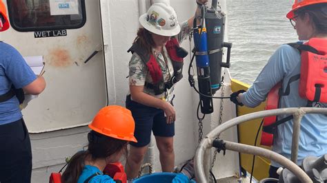 Noaa And Partners Announce Below Average Dead Zone Measured In Gulf