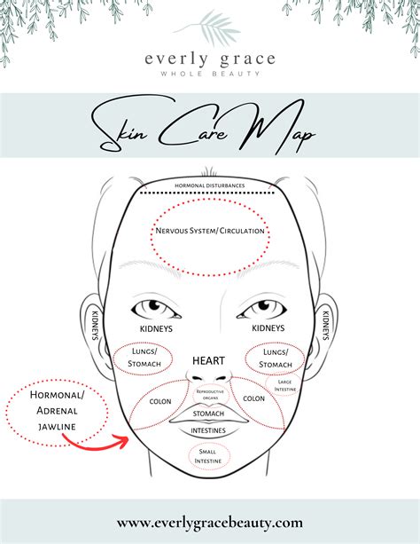 Face Mapping — Everly Grace Whole Beauty
