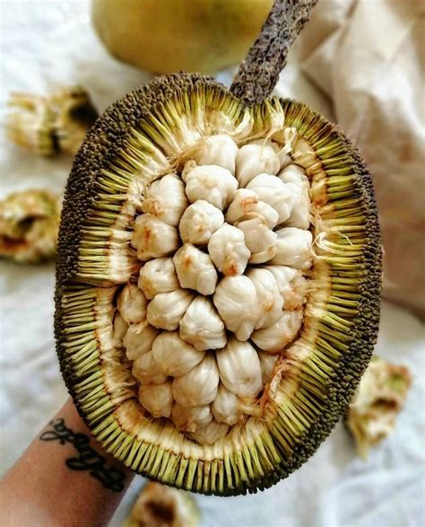 Chico Fruit Philippines Langka Fruit Jackfruit Philippines Filipino
