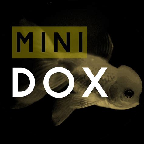 Mini Dox Youtube