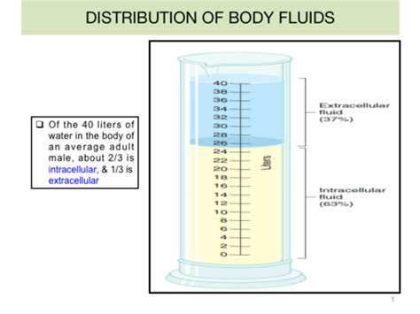 Volume And Body Fluids Flashcards Quizlet