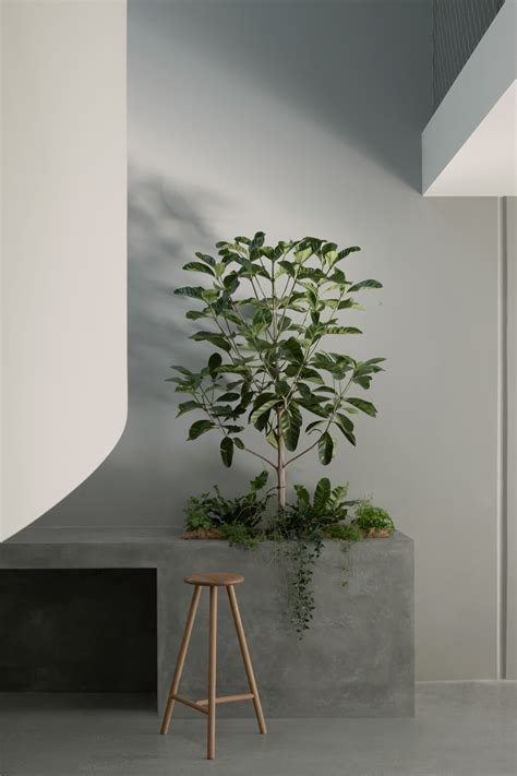 How Mortlock Timber Helped Shape Paperbark House Project Feature