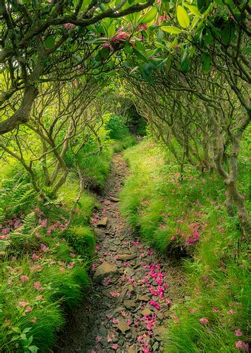 Nathan Farber Flickr