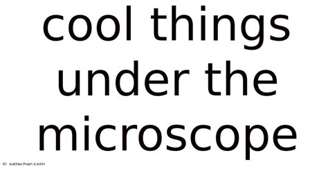 Cool Things Under The Microscope