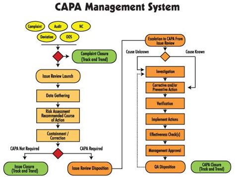 Capa Software Process Diagram Sample Resume Work Organization Resume