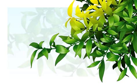 샤프 나뭇잎 브러시2종