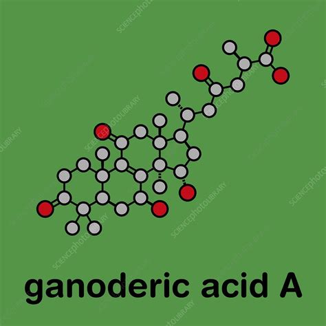 Ganoderic Acid A Molecule Illustration Stock Image F0305683 Science Photo Library