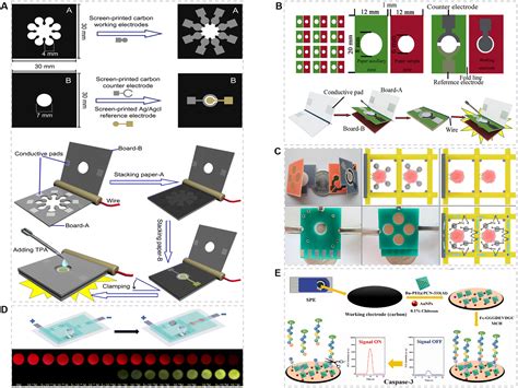 Electrochemiluminescence Devices For Point Of Care Testing Sensors And Diagnostics Rsc