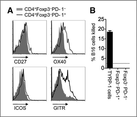 Phenotypic And Functional Characterization Of Intratumor Cd4 þ Download Scientific Diagram
