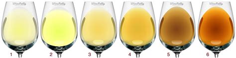 Savory Or Fruity Understanding Types Of White Wine By Color