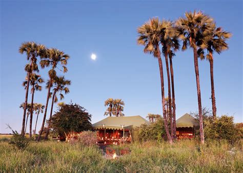 Jacks Camp Rates And Prices Safari Travel Plus