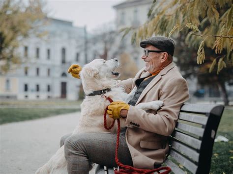 Dr Beth Hanrahan Md Internal Medicine In Clearwater Fl Healthline Findcare