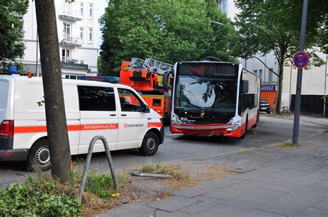 Hamburg Hvv Bus Fährt Gegen Baum Mopo