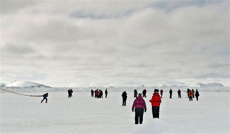 Antarctic Biodiversity Lies Outside Inviolated Wilderness Polar Journal