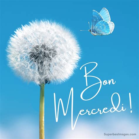 11 Images De Bon Mercredi Pour Démarrer Avec Un Sourire Superbes Images