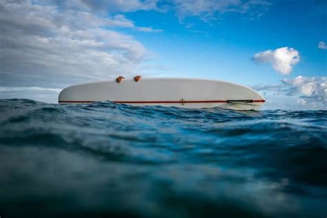 Ultimate Guide To Mini Mal Surfboards Boardcave Usa