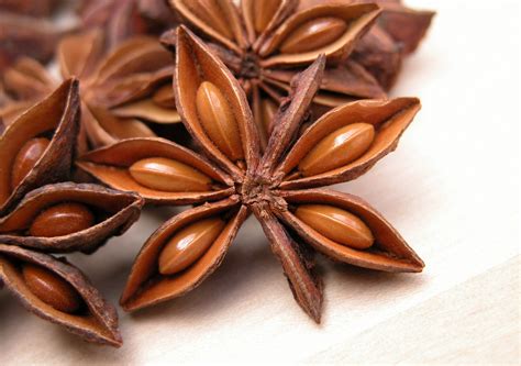 Download A Close Up Shot Of Fresh Anise Spices Wallpaper