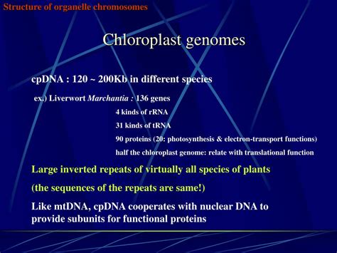 Ppt Chapter 21 Extranuclear Genes Powerpoint Presentation Free