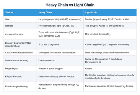 Heavy Chain Vs Light Chain