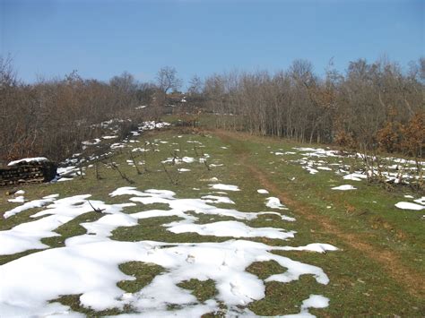 НА ЈАСИКА НИЗ ВРЕМЕТО