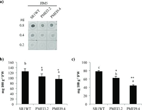 Immunochemical Characterization Of Isolated Leaf Pectins Using The