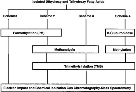 Schematic Representation Of The Derivatization Methods Used In The