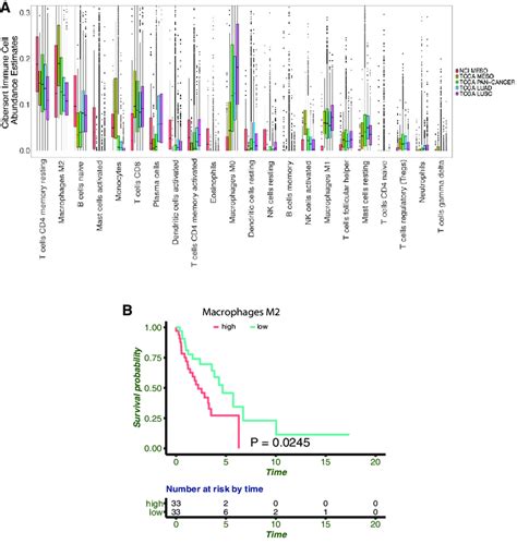 Immune Cell Abundance Estimates A Boxplot Of The Relative Fractions Download Scientific