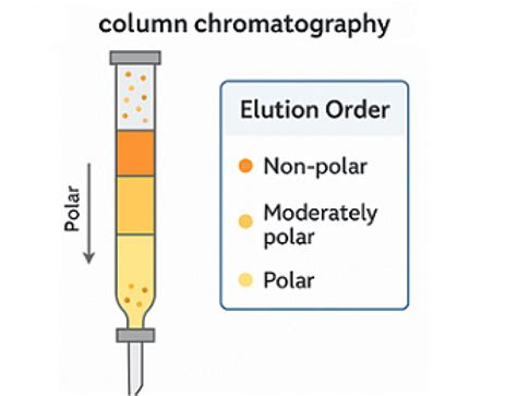 Stationary Phase And Surface Chemistry Of Hplc Columns Hawach