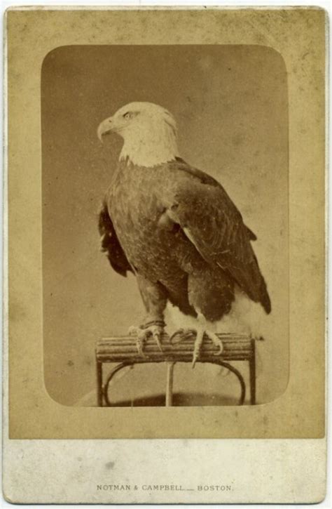 Post 10754258460 Archetype And Tumbex