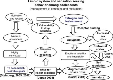 Full Article Maturation Of The Adolescent Brain