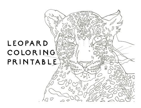 Leopard Coloring Printable Worksheets Library