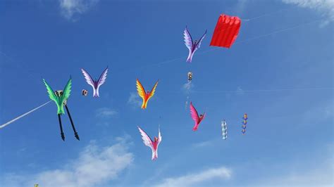 Karl Sara Longbottom Gog Chums