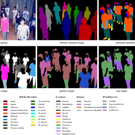 Ccihp Dataset Kaggle