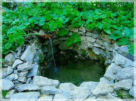 예쁜사진1 네이버 블로그