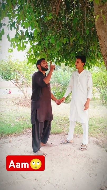 مولوی آ م چوری کرنے لگا تھا 🤣aam Chor 😱funny Tranding Youtube