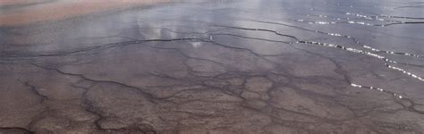 Sofir Samen Voor Fiscale Rechtshulp