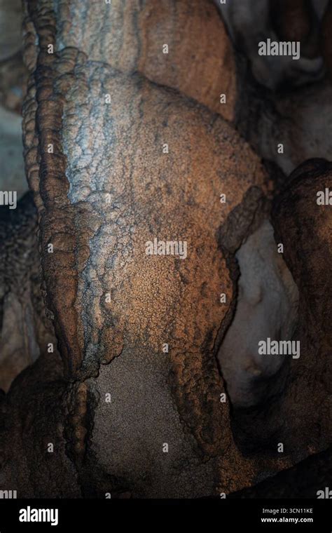 Large Flowstone Structure Inside A Limestone Cave Illuminated By Warm