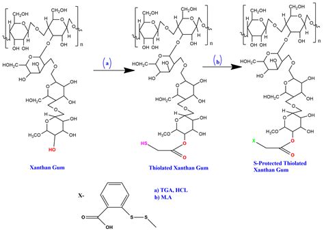 Polymers Free Full Text Development Of Novel S Protective Thiolated