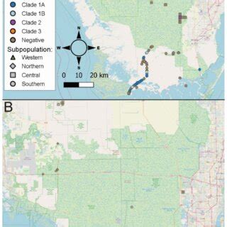 Maps Of Invasive Burmese Python A And Native Snake B Sampling And Download Scientific