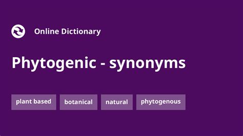 Phytogenic Synonyms Pronunciation Definition Meaning Examples