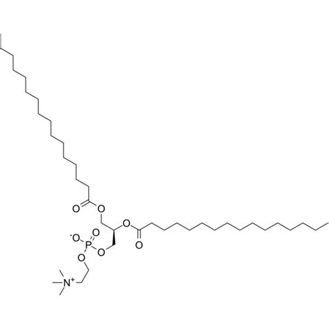 Dppc 129y83 Cas 63 89 8 Abmole Bioscience Dppc Price