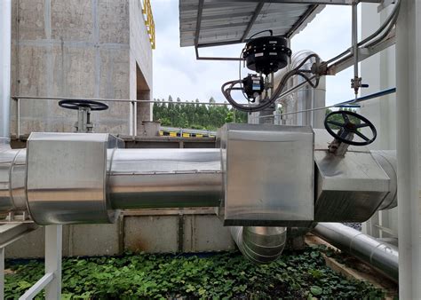 Biofiltration Of Gases