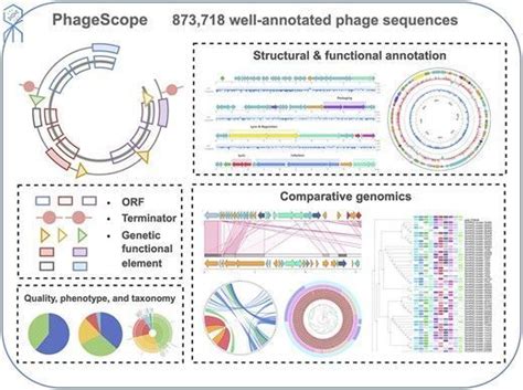 Phage Directory On Linkedin Phagescope A Well Annotated Bacteriophage Database With Automatic…