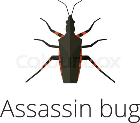 Assasin Insect Clipart 17 Free Cliparts Download Images On Clipground 2026