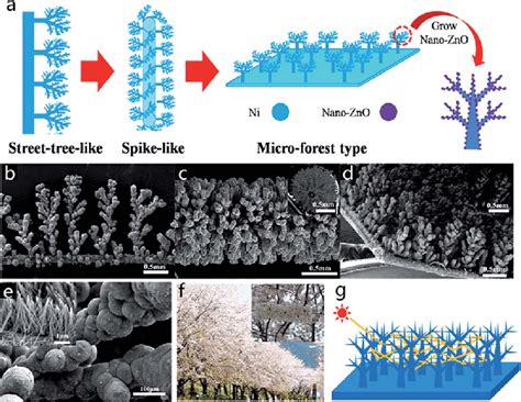 Structural Design Of The Electrode A Three Types Of Dendritic