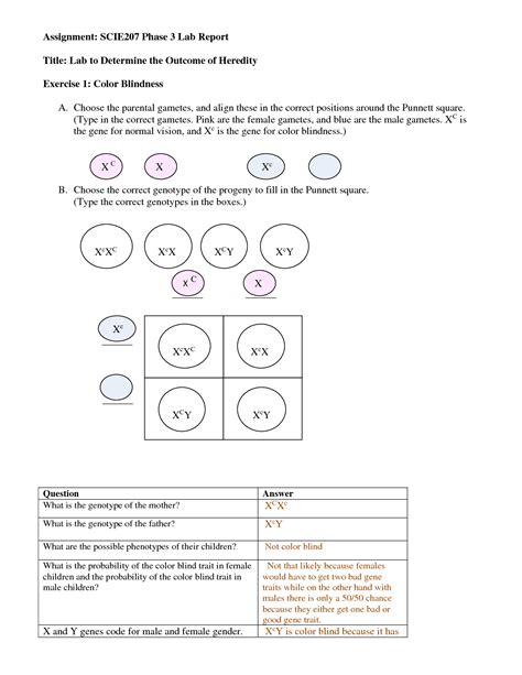 solution scie207 phoenix outcome of heredity genotypes and phenotypes
