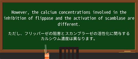 【英単語】flippaseを徹底解説！意味、使い方、例文、読み方 おもしろい英文法