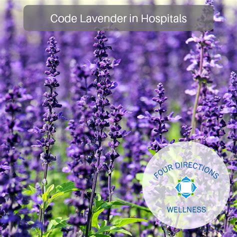 Code Lavender In Hospitals