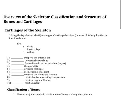 Solved Overview Of The Skeleton Classification And